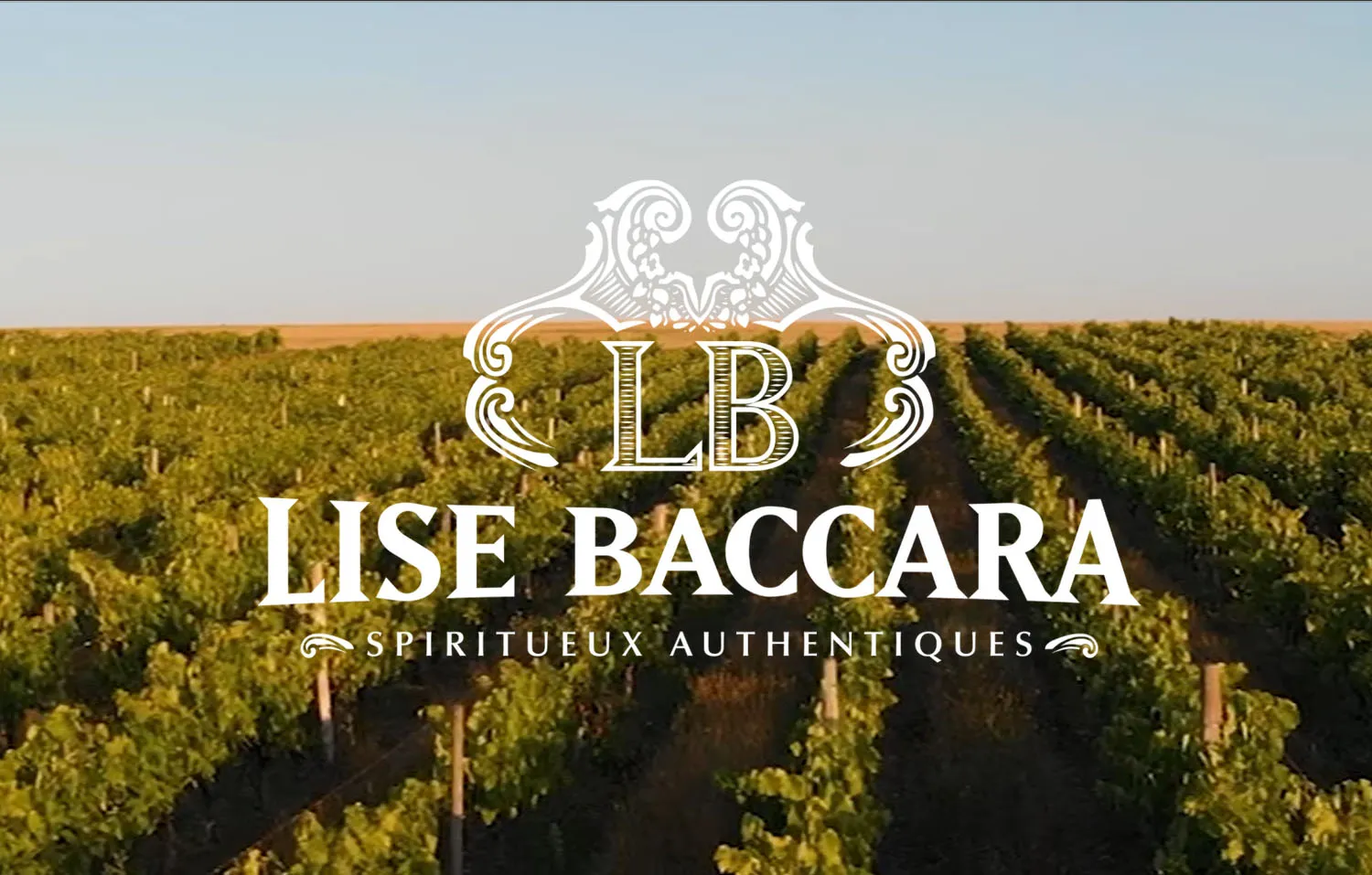 Partnership – Lise Baccara French Spirits House for Global Export